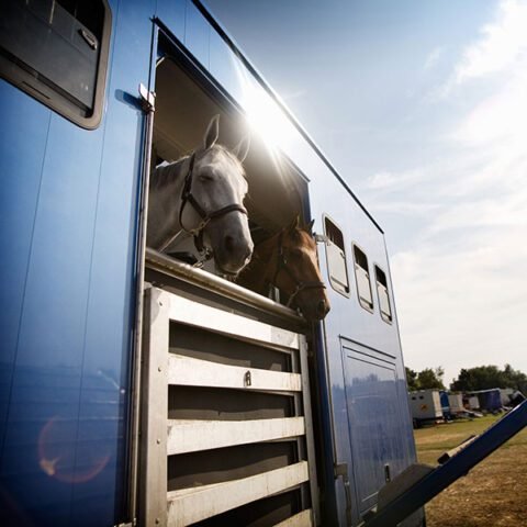Horse Trailer Repair - JBRV